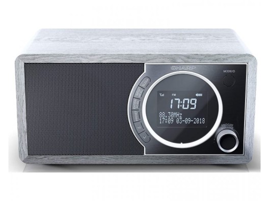 DR-450GR Digitalni bluetooth radio