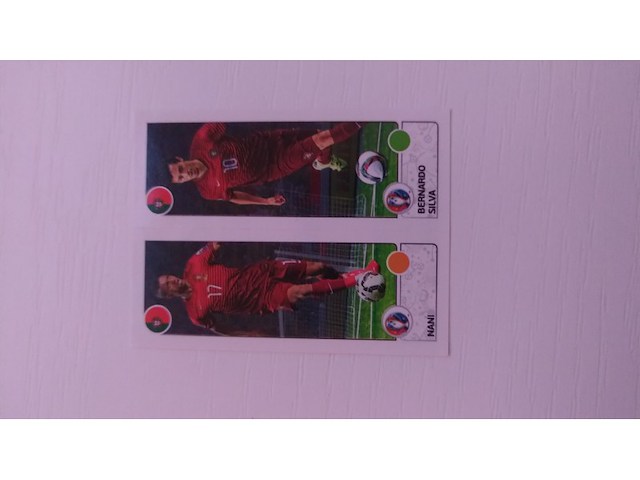 Panini EURO 2016 sličica broj 602