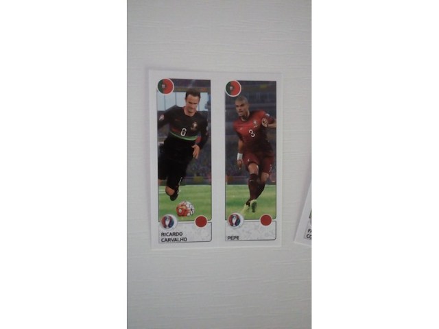 Panini EURO 2016 sličica broj 599