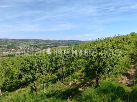 Prodaja, zemljište poljoprivredno, Aranđelovac Darosava