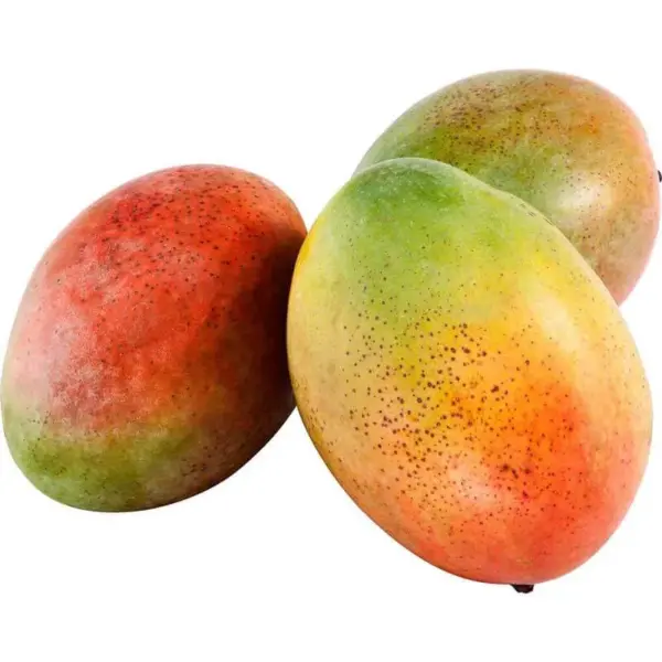 * Organski mango 300g