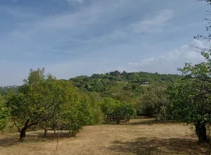 Prodaja Vikendica - Petrovaradin, Sremska Kamenica