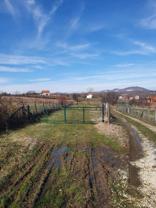 Topola-Gornja Šatornja, njiva 353 ara