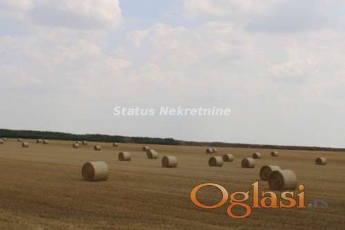 Čenej - građevinsko zemljište 24073m2