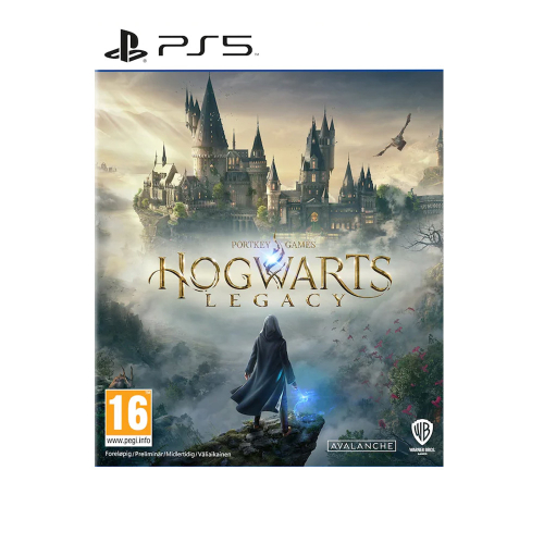 PS5 Hogwarts Legacy