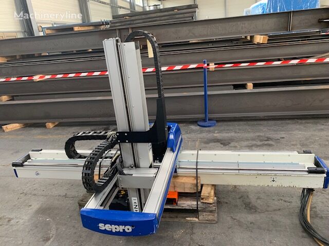 Sepro SR 4010 S3 industrijski robot