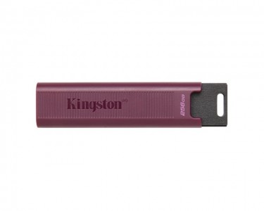 KINGSTON 256GB DataTraveler Max USB 3.2 flash DTMAXA/256GB