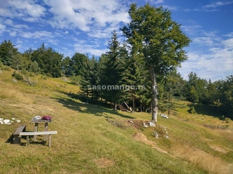 TARA planina blizu najvišeg vrha Zborište, plac sa izvorom