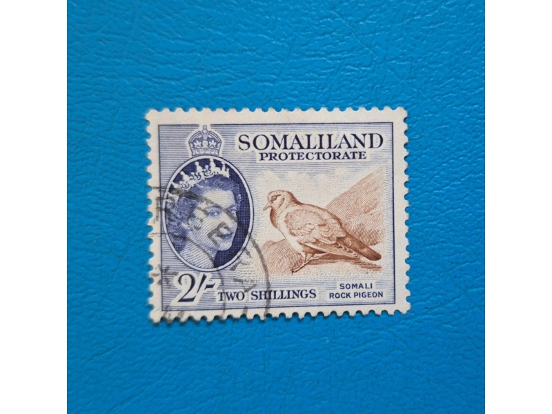 Somaliland Protectorate 1953 golub