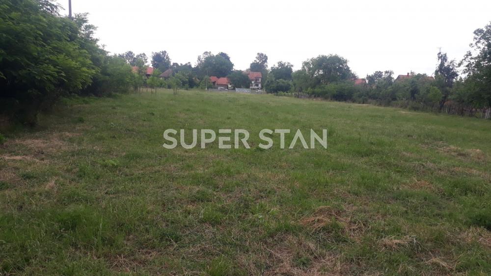 Plac, selo Ratari kod Smederevske Palanke ID#1100 9.000 €