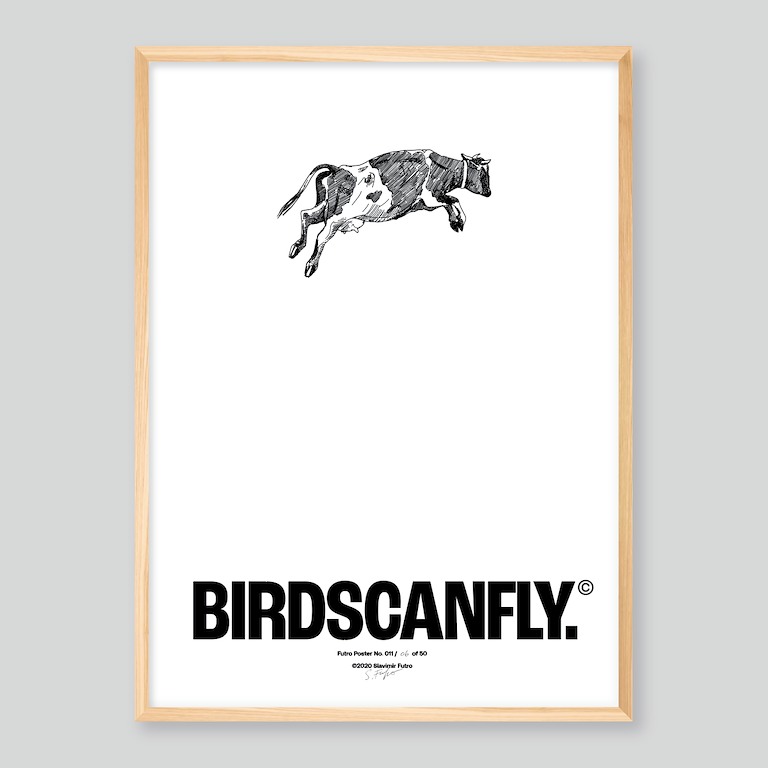 BIRDSCANFLY