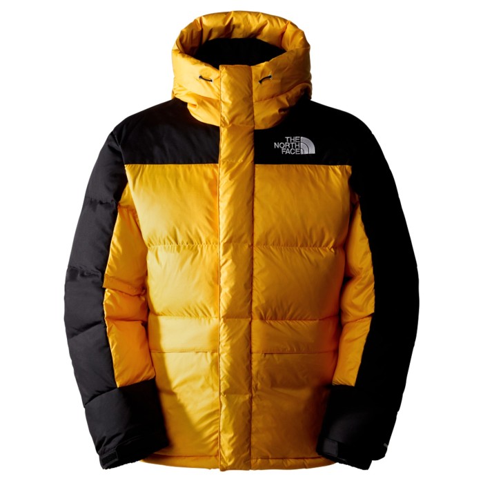 The North Face Hmlyn Down Parka jakna