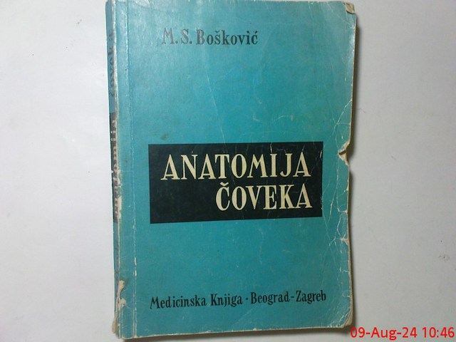 M. S. BOSKOVIC  -  ANATOMIJA  COVEKA