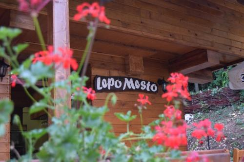 prevoz od/do aerodroma
Motel Lepo Mesto