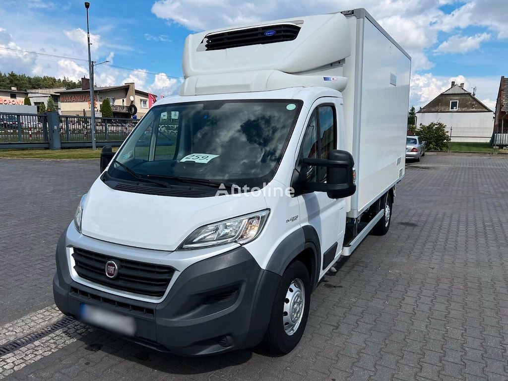 FIAT Ducato Kühlkoffer 3x TUR, Carrier 230V kamion hladnjača < 3.5t