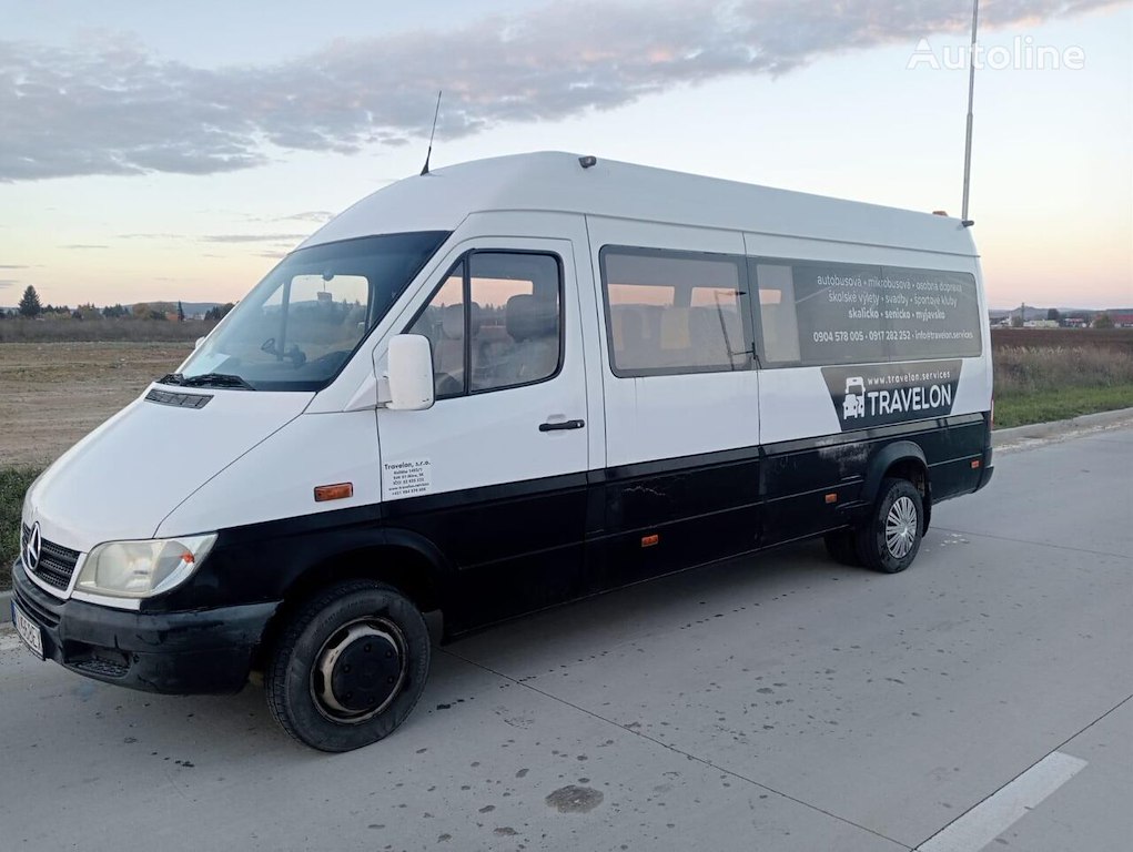 Mercedes-Benz Sprinter putnički minibus