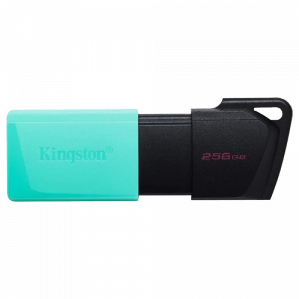 Kingston Flash memorija 256GB