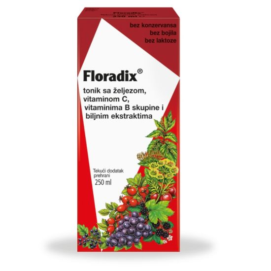 Floradix tonik 250ml