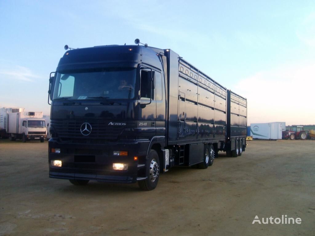 MAN ACTROS 2548 kamion za prevoz konja