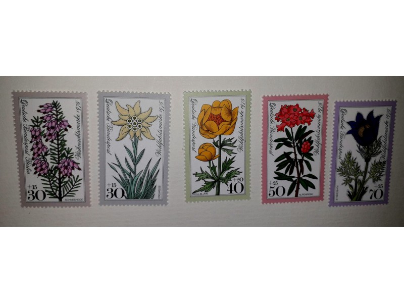 DB 1975. MNH flora