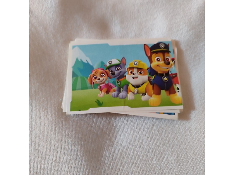 Lot 21 komad paw patrol