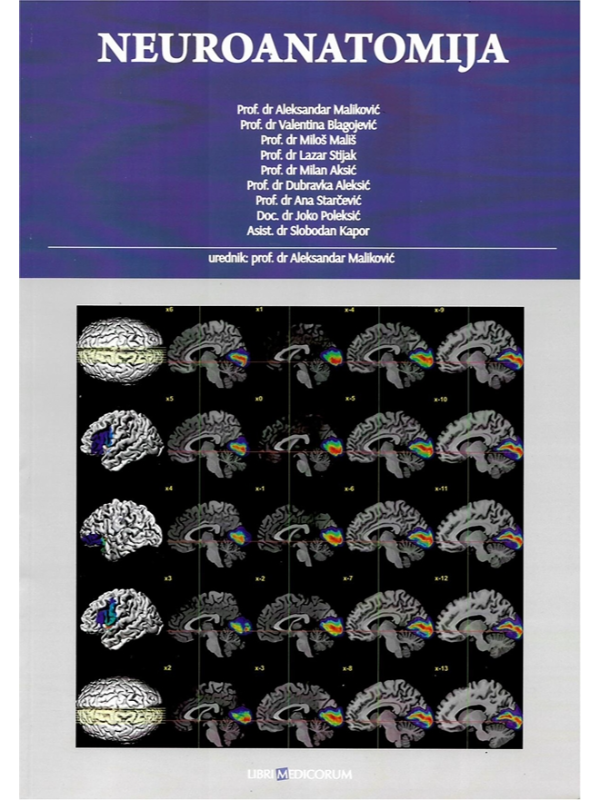 Neuroanatomija