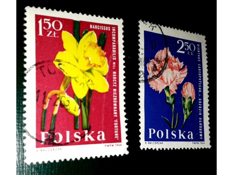 Polska 1964 - flora