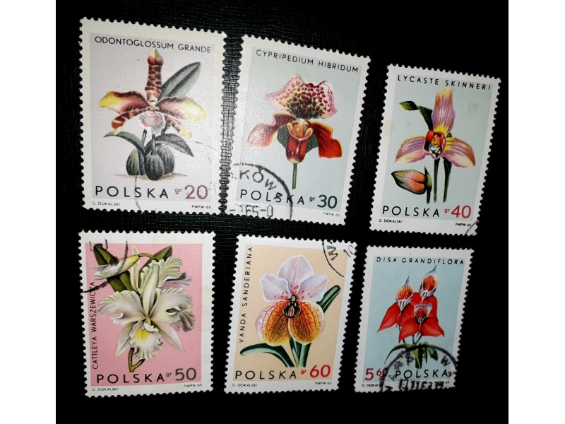 Polska 1965 flora