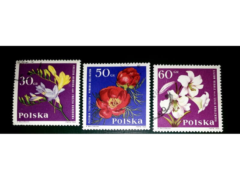 Polska 1964 - flora