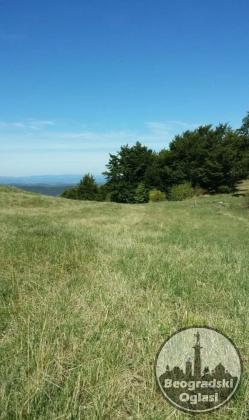 Plac ispod Cigote-Zlatibor