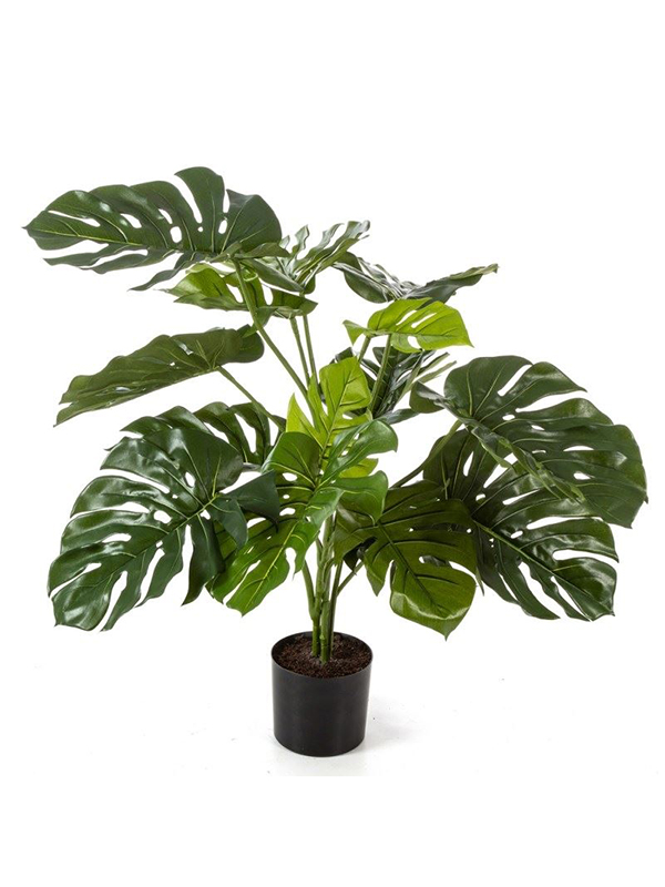 Veštačka monstera