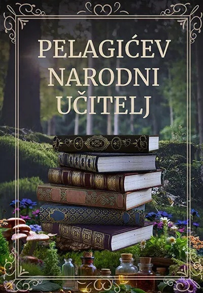 Pelagićev narodni učitelj / Vasa Pelagić