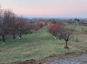 Prodaja Plac - Petrovaradin, Centar