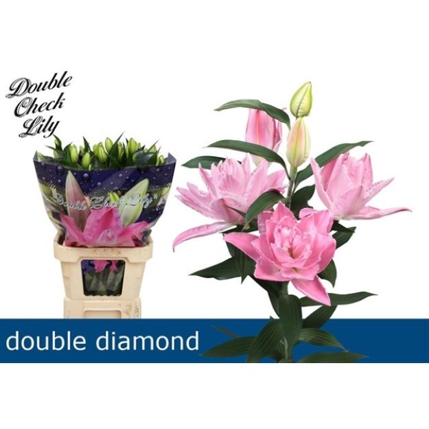 Li Or Double Diamond