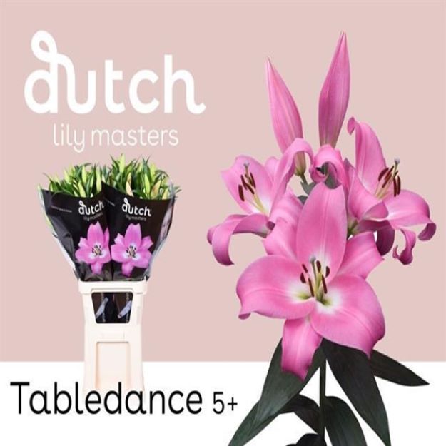 Li Ot Tabledance