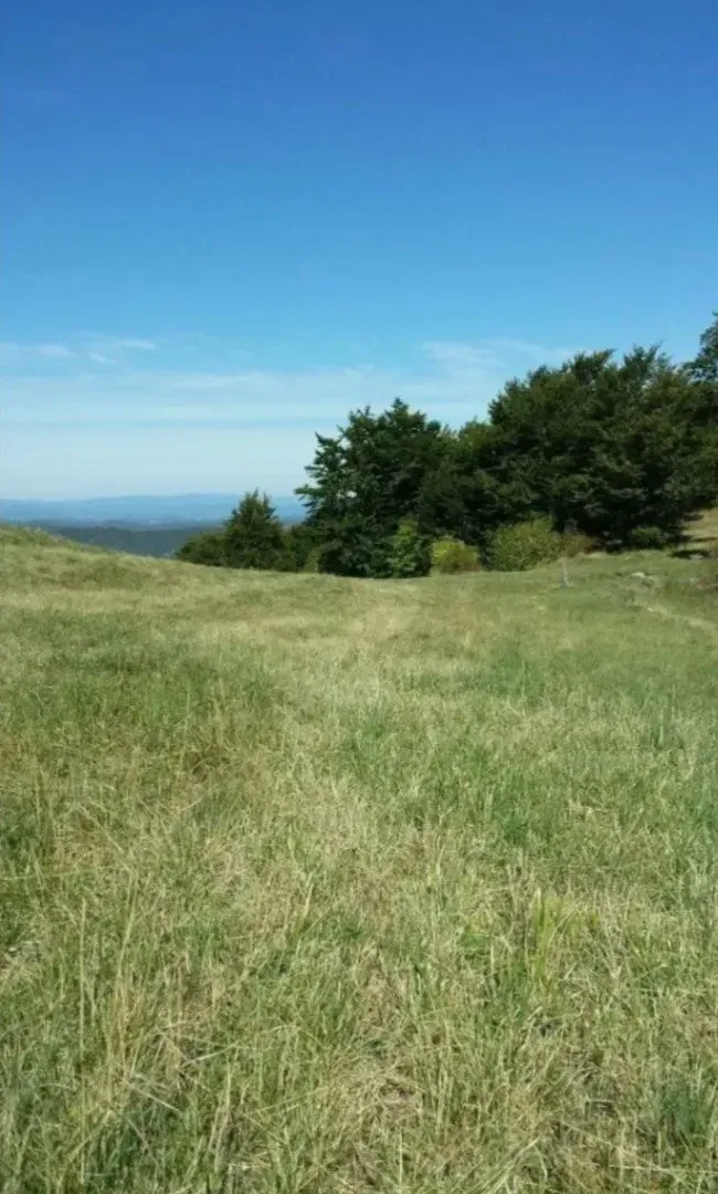 Prodaja, zemljište, 989m2, Zlatibor