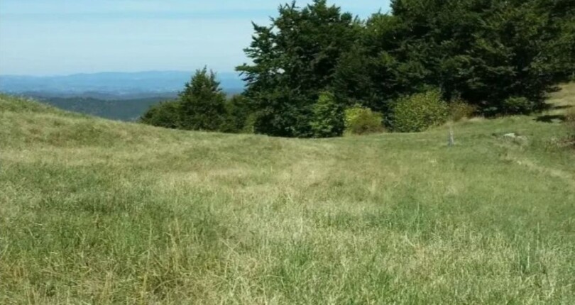 Plac ispod Cigote-Zlatibor