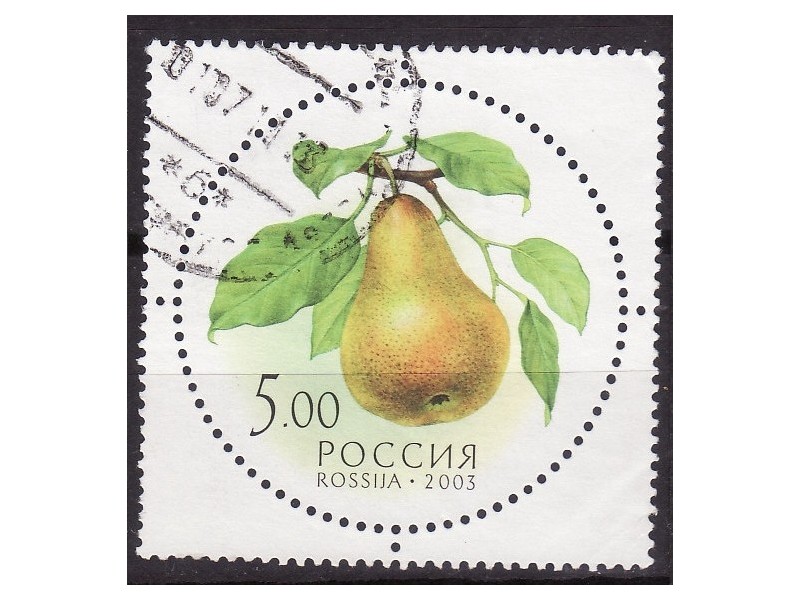 Russija - kruška 2003.