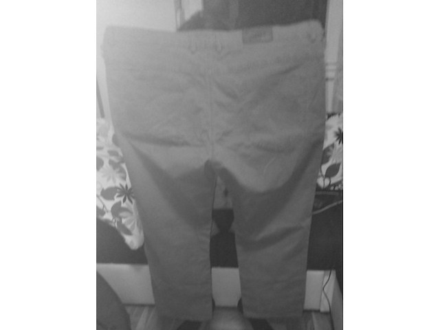 Pantalone sive veliki broj