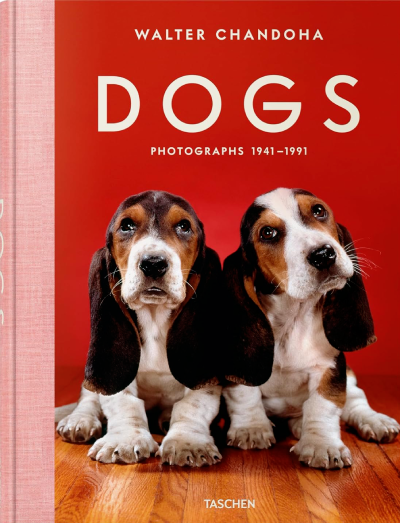 Dogs: Photographs 1941-1991