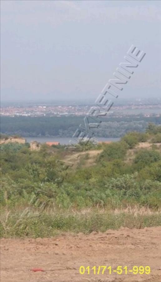 plac Višnjička banja, Nedeljka Košanina, 4,7 ara