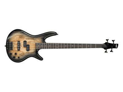 Ibanez GSR200SM-NGT Natural Gray Burst