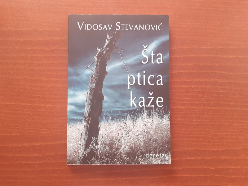 Vidosav Stevanović - Šta ptica kaže