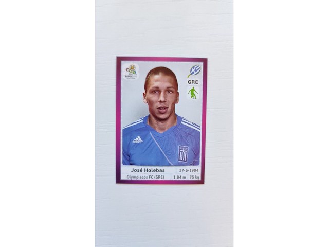 Panini EURO 2012 International sličica broj 089