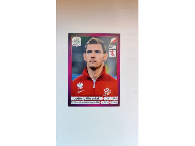 Panini EURO 2012 International sličica broj 071