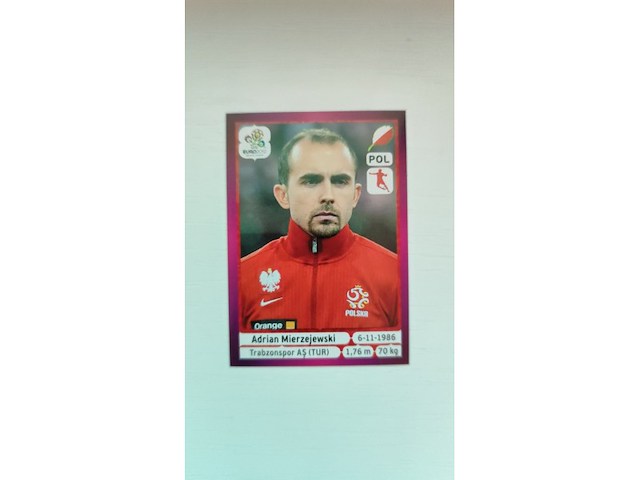 Panini EURO 2012 International sličica broj 070