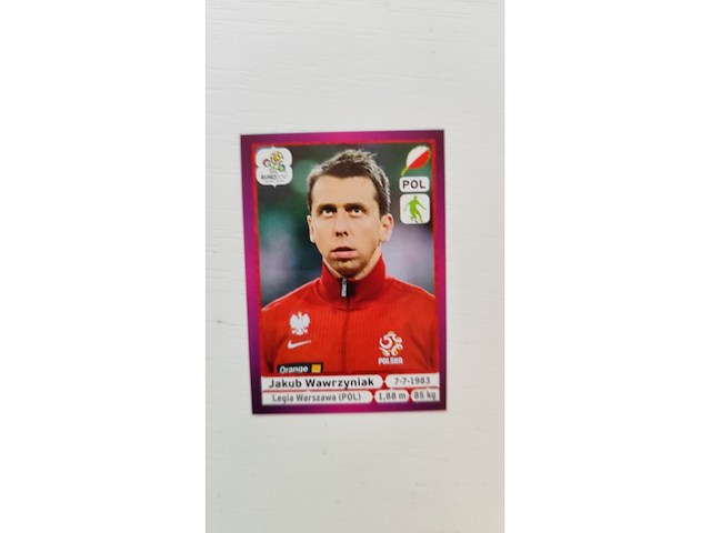 Panini EURO 2012 International sličica broj 063