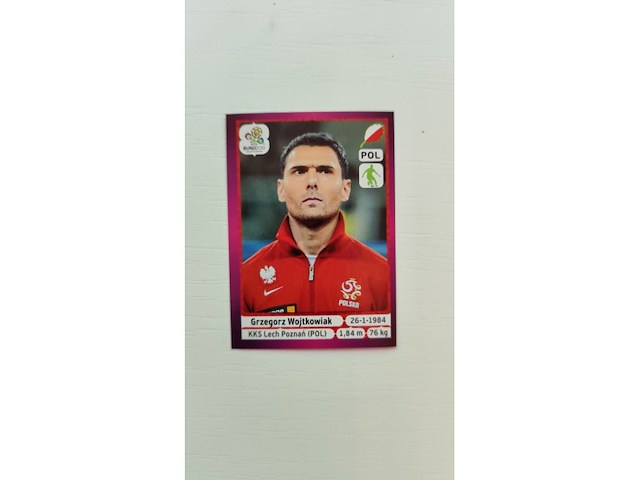 Panini EURO 2012 International sličica broj 061