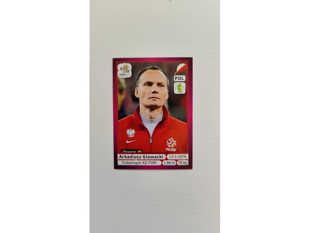 Panini EURO 2012 International sličica broj 057