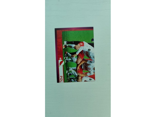 Panini EURO 2012 International sličica broj 053